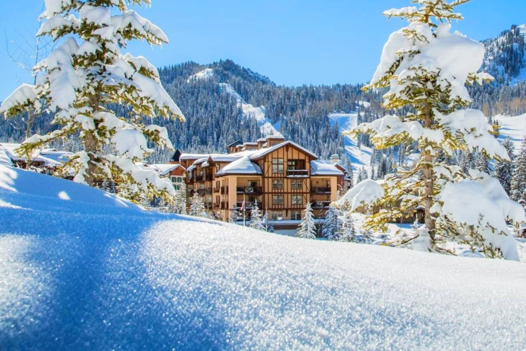 Solitude Mountain Resort Trail Map | OnTheSnow