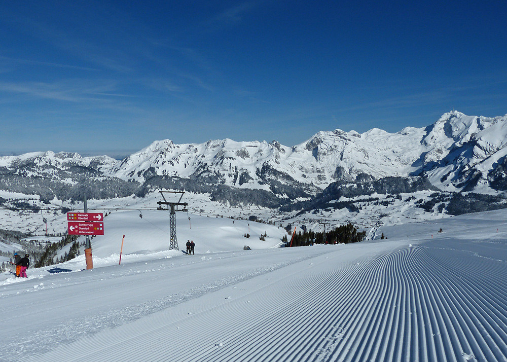 Wildhaus - Toggenburg Piste Map | Plan of ski slopes and lifts | OnTheSnow