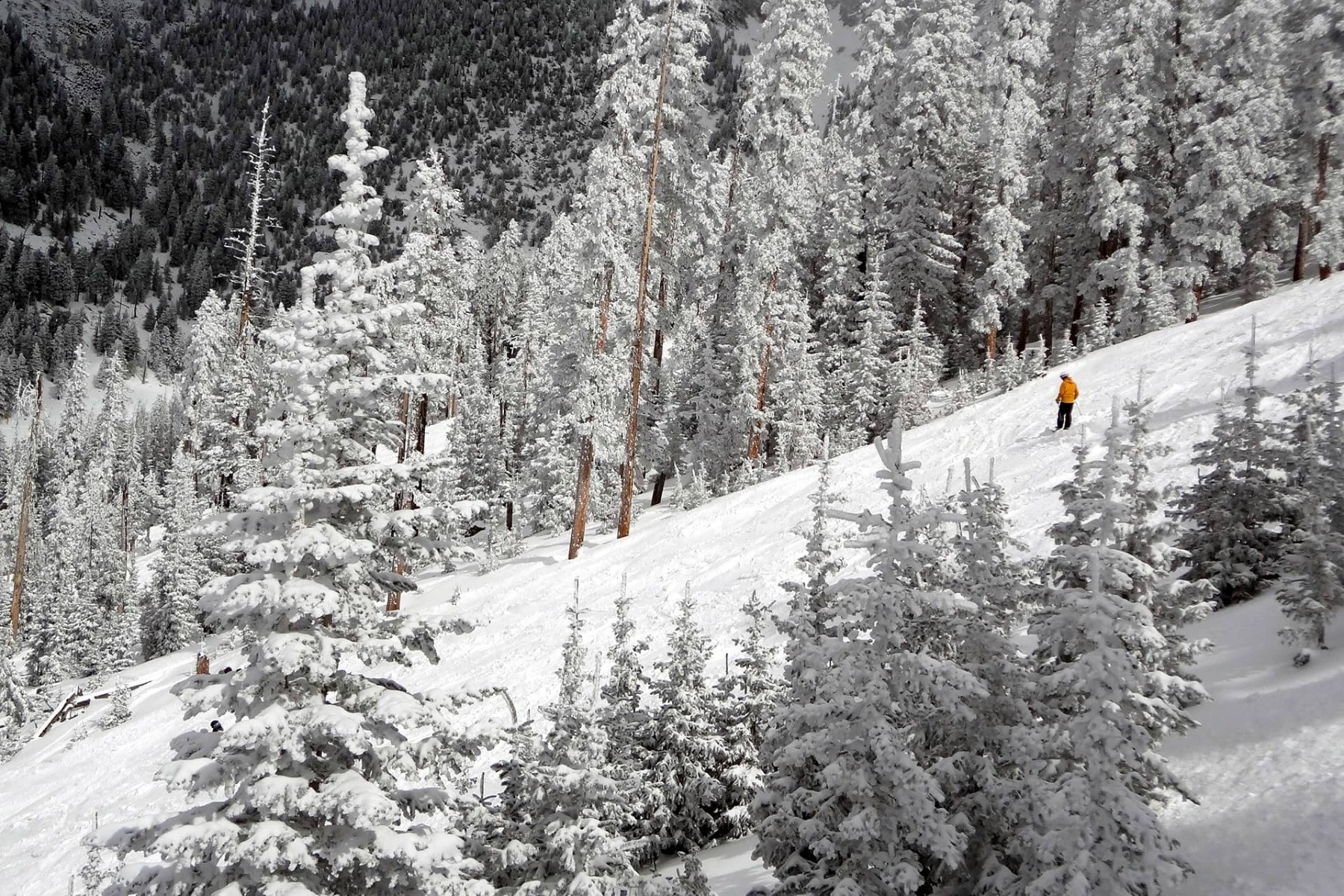 Arizona Snowbowl Ski Resort Area Overview - OnTheSnow
