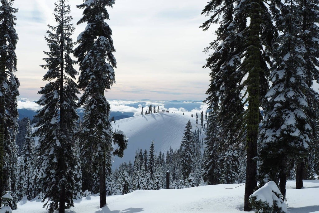 Mt. Shasta Ski Park Snow Report | OnTheSnow Mt. Shasta Ski Park Snow Report | OnTheSnow